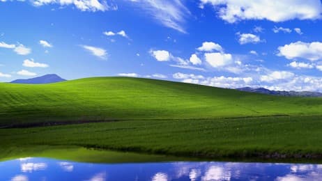 Windows 11 Bloom - Build 23 by Microsoft | Wallpapers | WallpaperHub