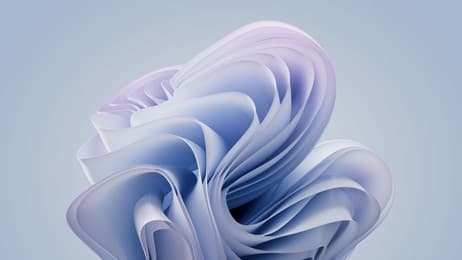 Windows 11 - Snow by Michael Gillett | Wallpapers | WallpaperHub