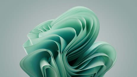 Windows 11 Bloom - Build 23 by Microsoft | Wallpapers | WallpaperHub